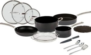 Emeril Lagasse Forever Pans Reviews – Should You Buy It? - Kitchen Deets